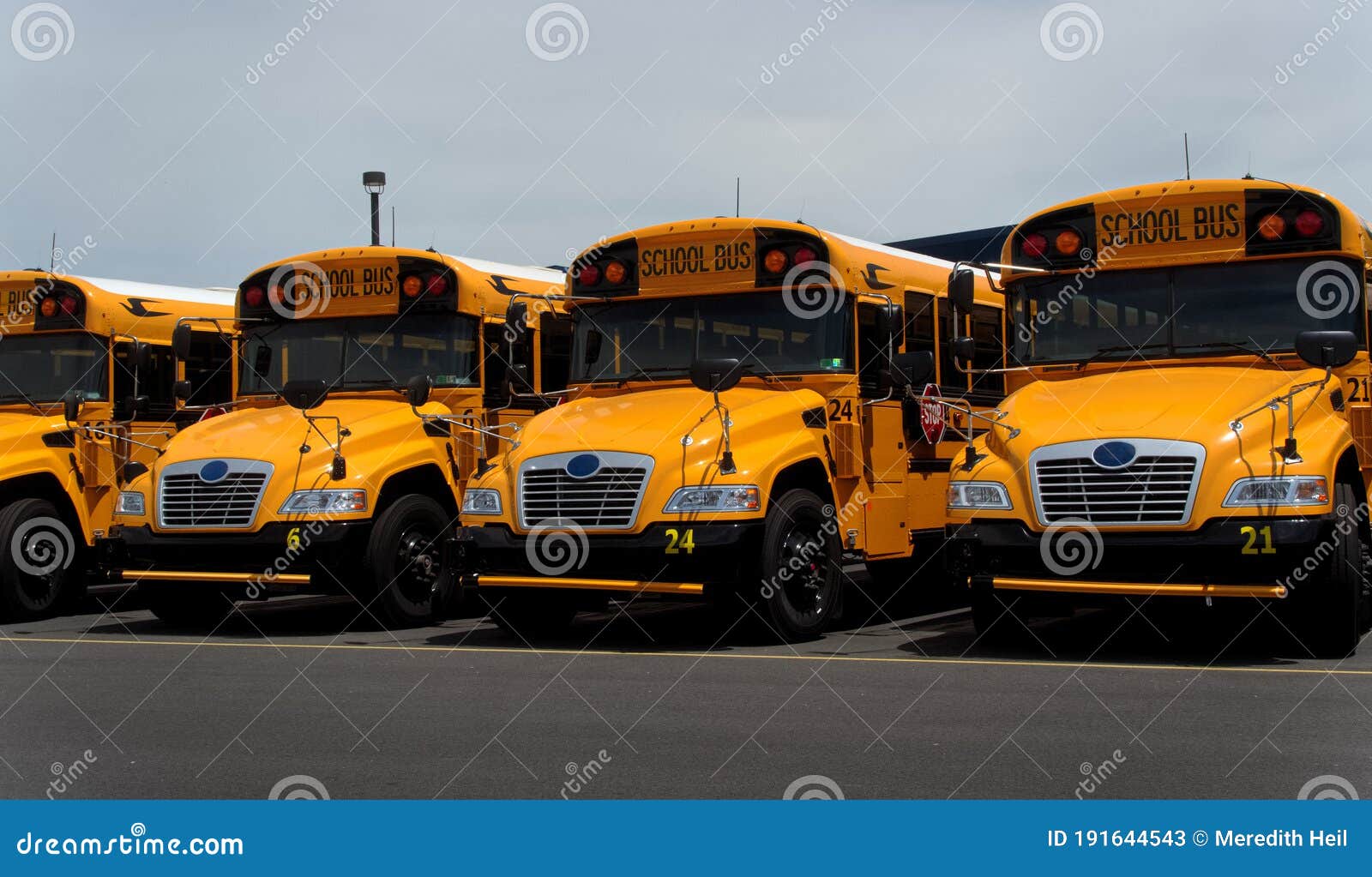 A Row of Yellow School Buses Stock Image - Image of blue, lined: 191644543