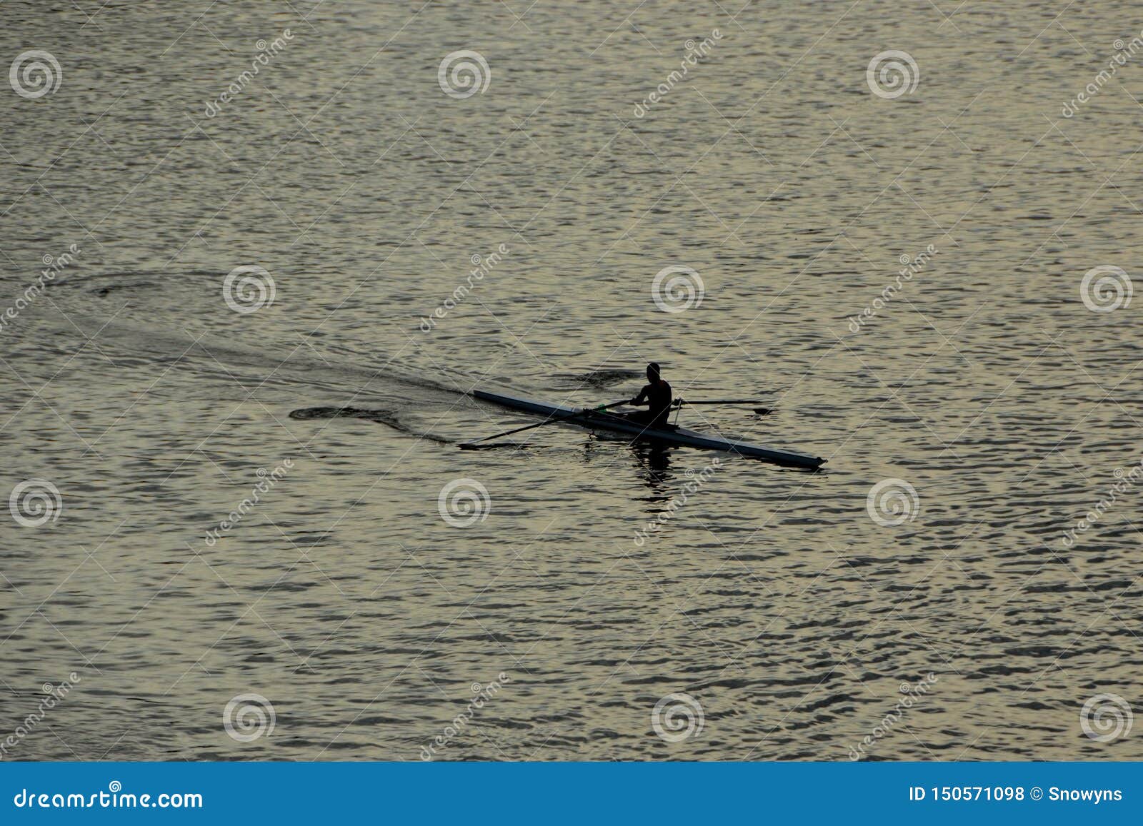 Single Rower Silhouette Rowing into the Sunrise Stock Photo - Image of ...