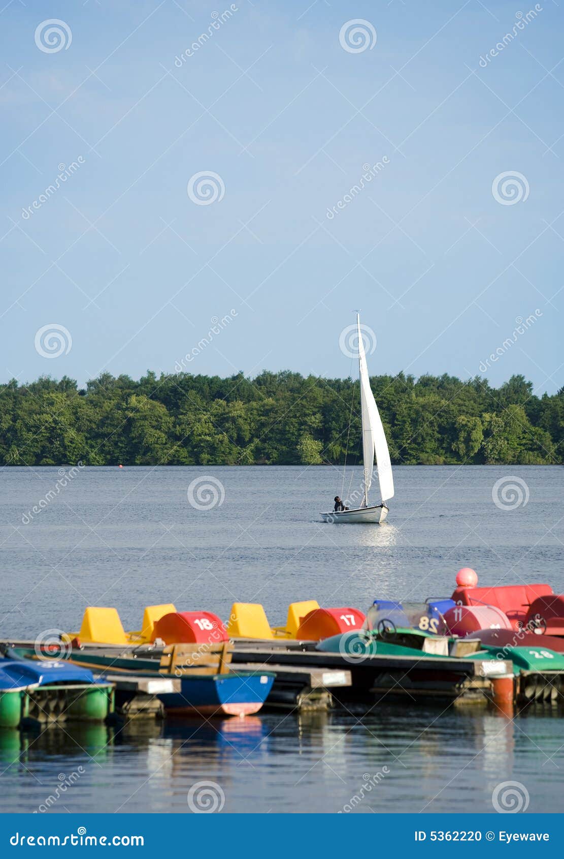 Single Sailor on Lake, Jetty with Pedalos Stock Photo - Image of water ...