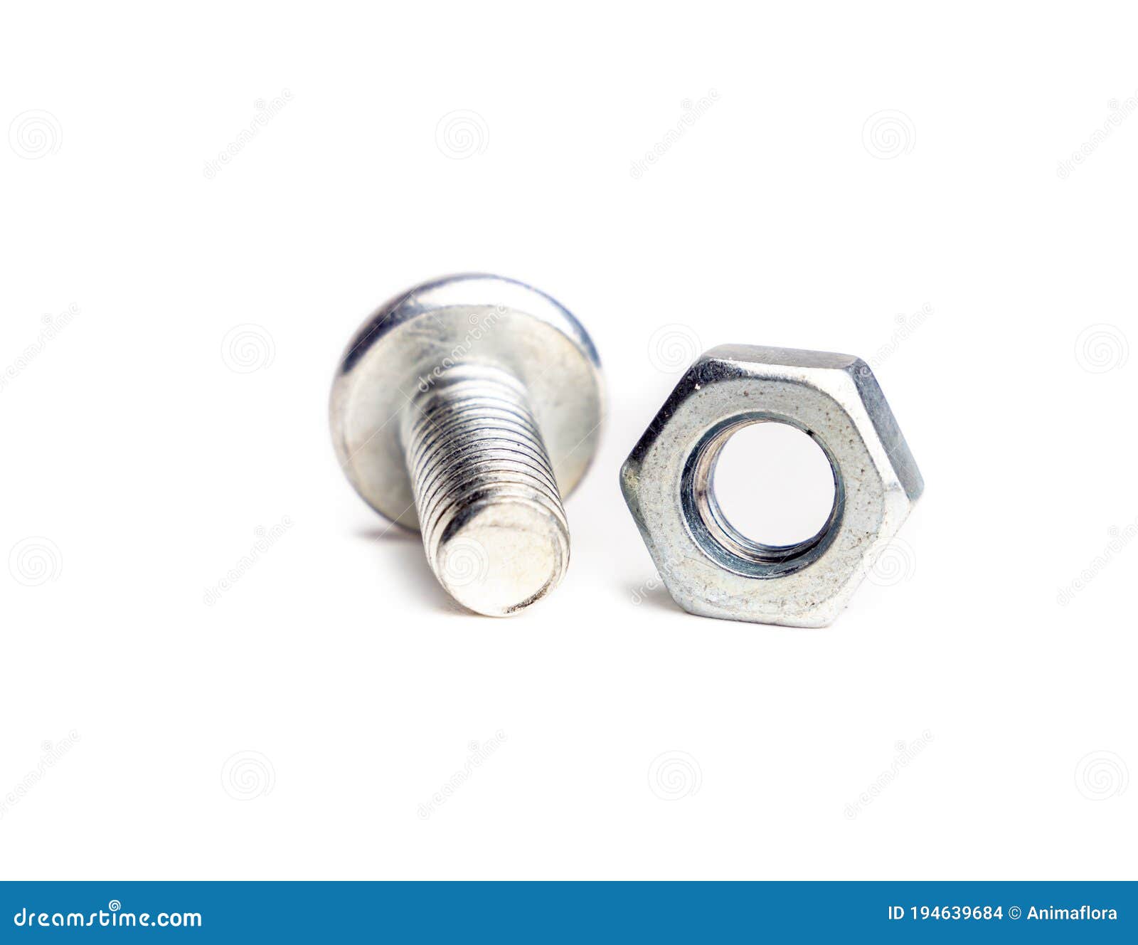 Single with nut isolated stock photo. Image of attached - 194639684