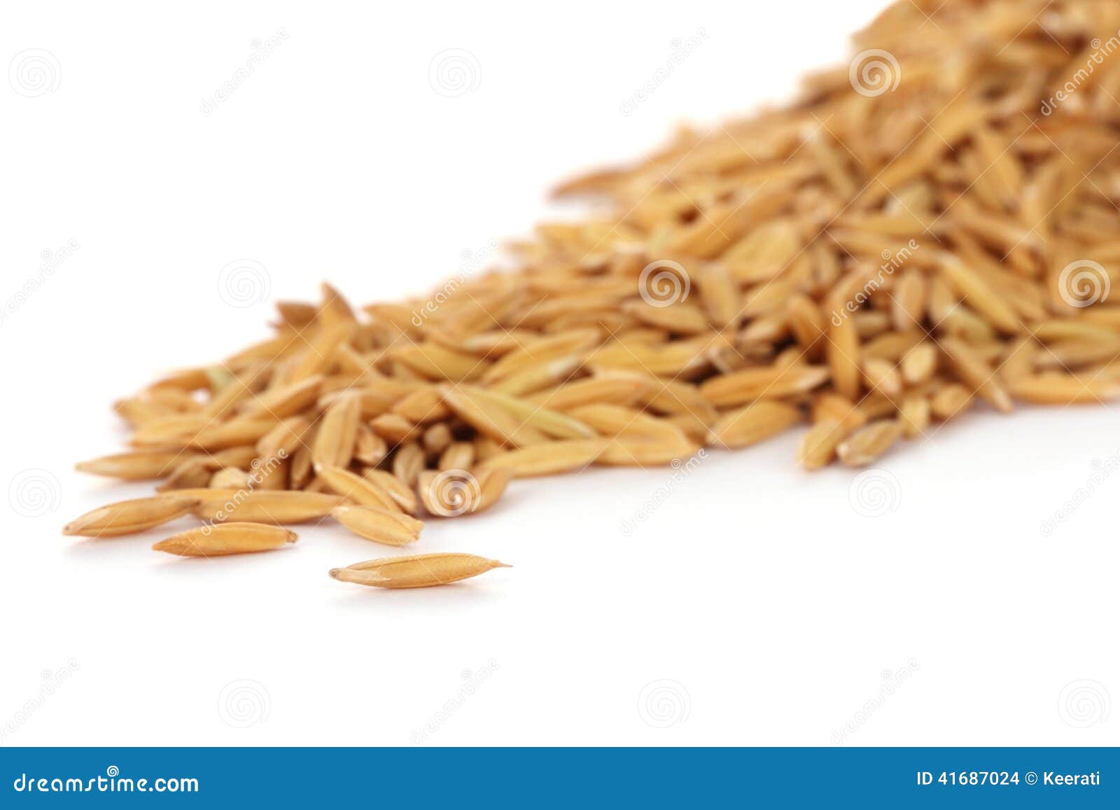 Single Seed Front Pile Of Paddy Grain Unmilled Rice. Royalty-Free Stock ...