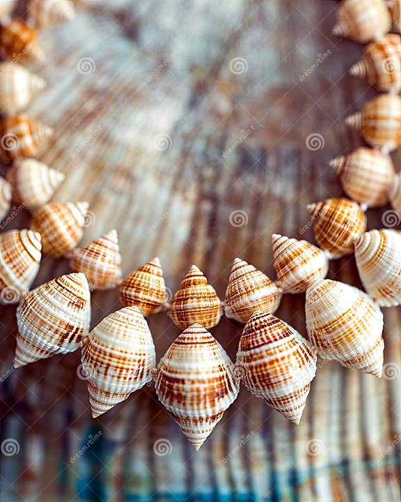 Crafted Elegance in Shell Necklace Design Resting on a Smooth, Serene ...