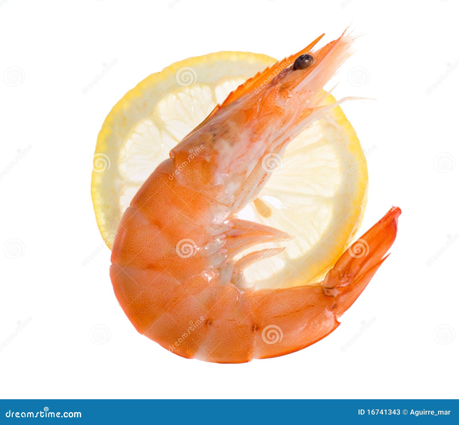 4,139 Single Shrimp Photos - Free & Royalty-Free Stock Photos from ...