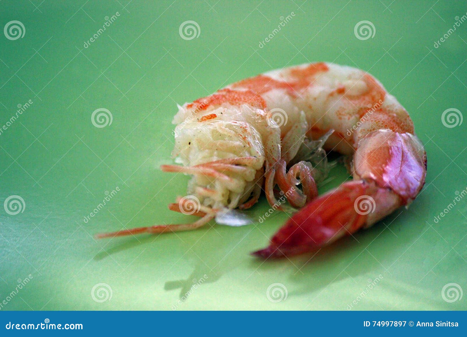 Single Shrimp Close Up on Green Plate Stock Image - Image of yami ...