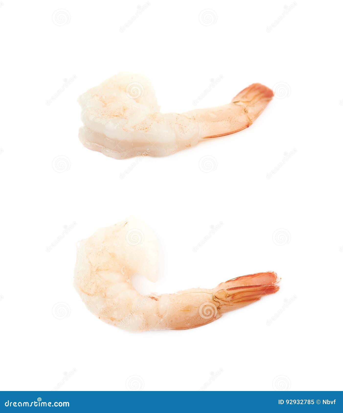 Single shrimp isolated stock image. Image of cooking - 92932785
