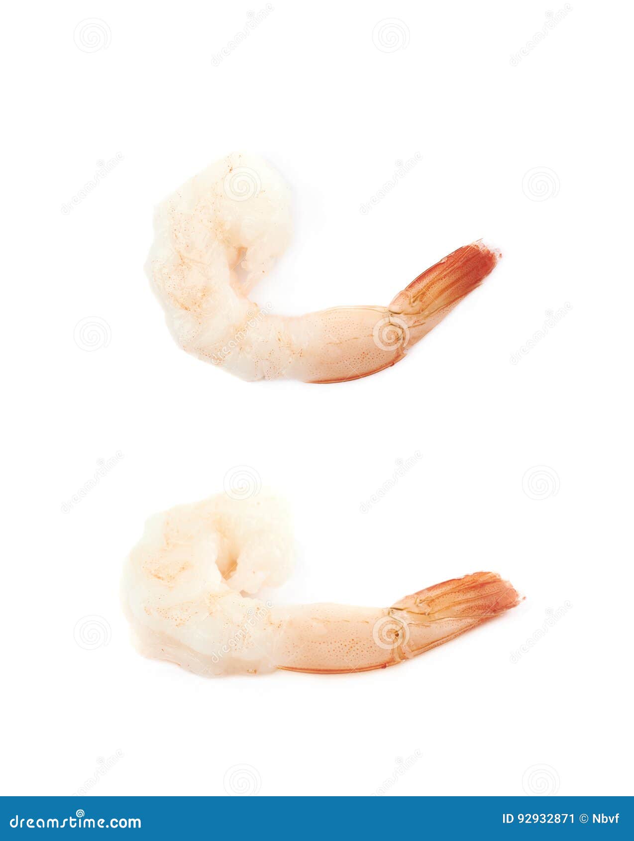 Single shrimp isolated stock image. Image of cooked, gourmet - 92932871