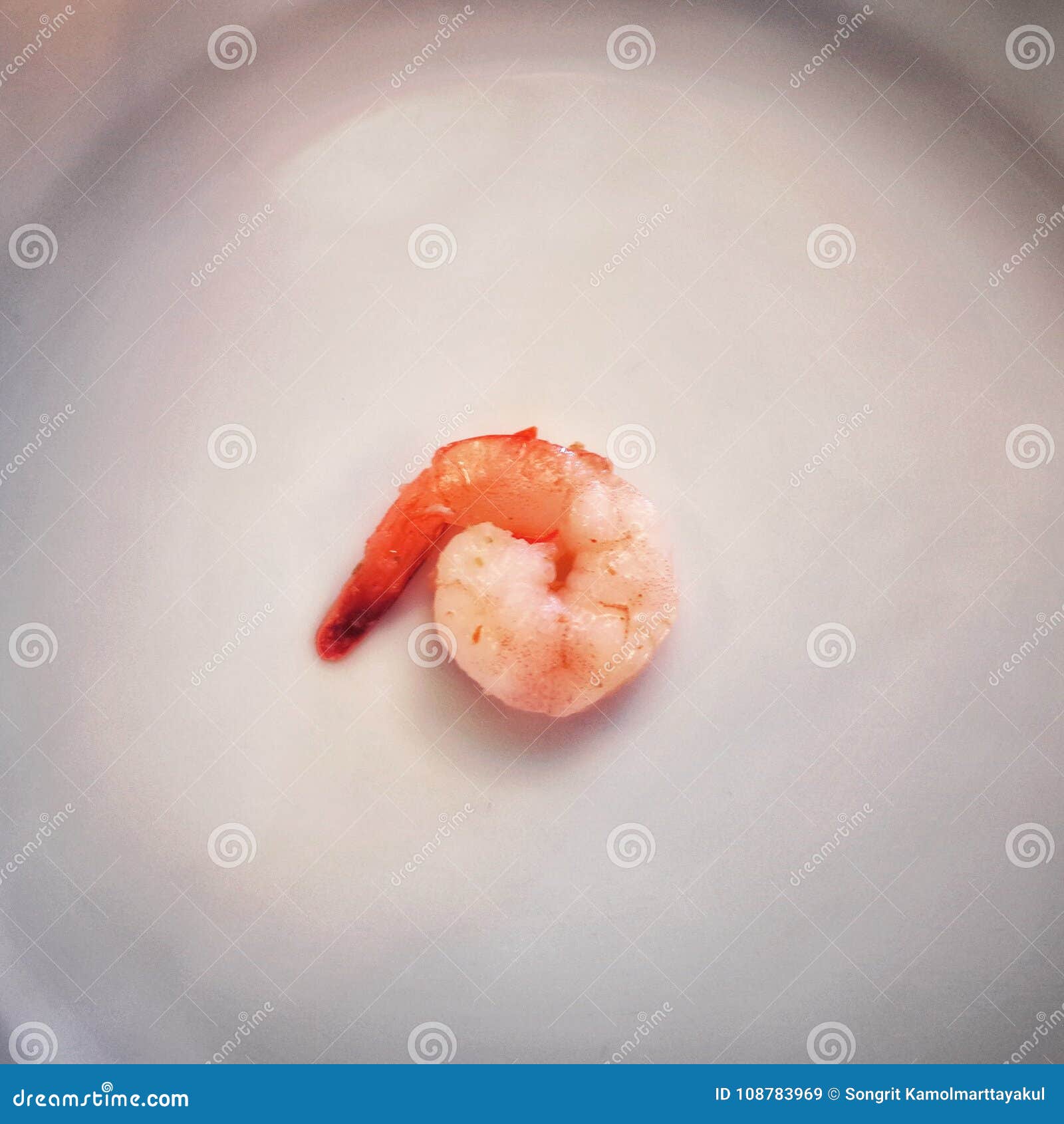 Single shrimp. stock image. Image of single, alone, white - 108783969