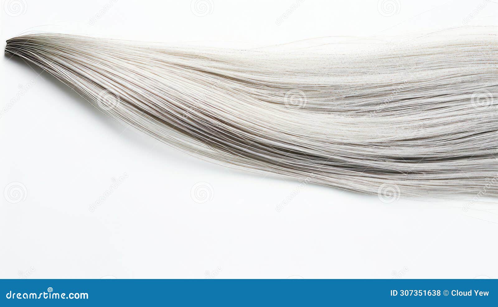 Single Silver Hair Strand on Clean White Stock Illustration ...