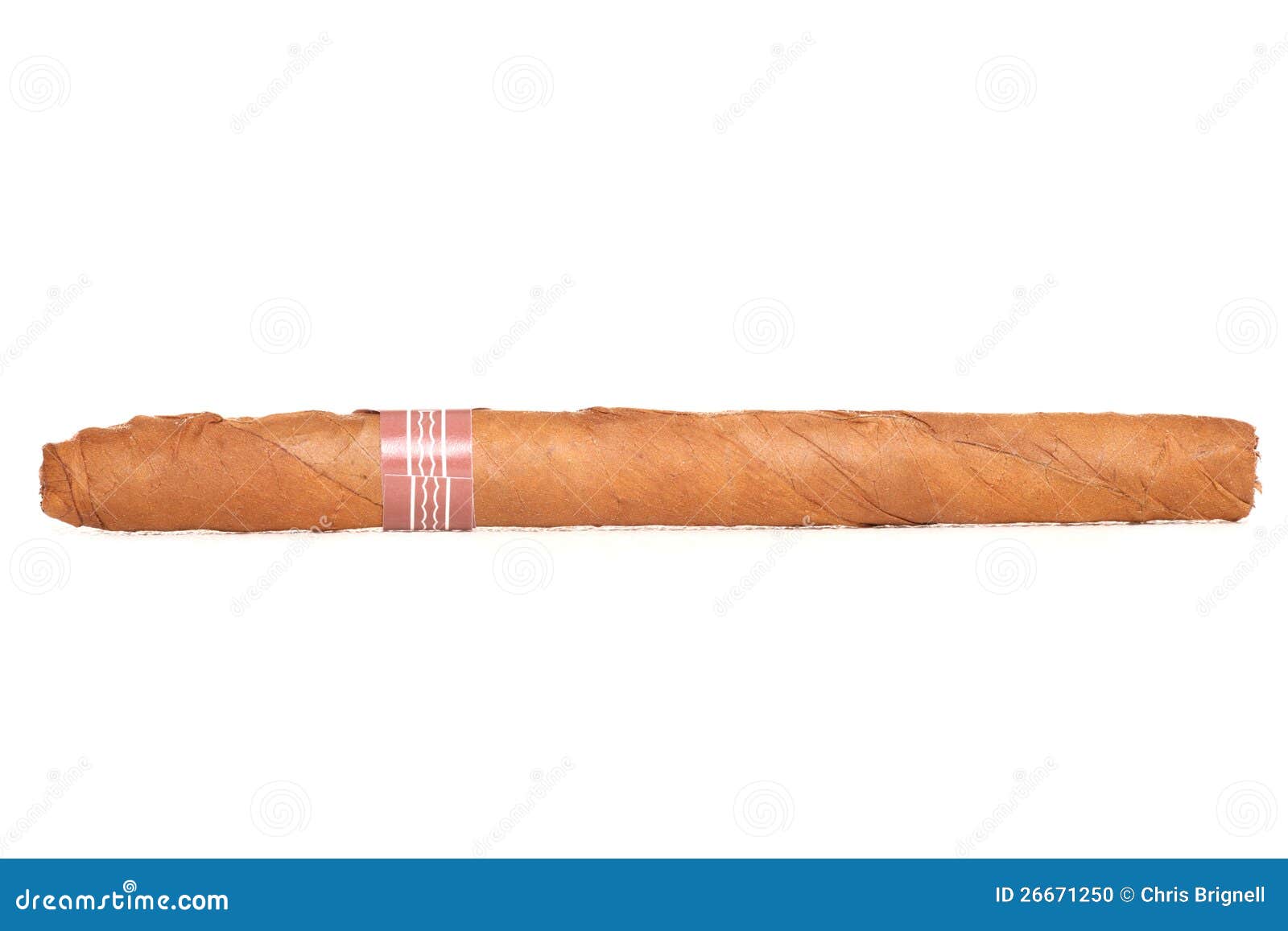 Single skinny cigar stock photo. Image of tabaco, cutout - 26671250