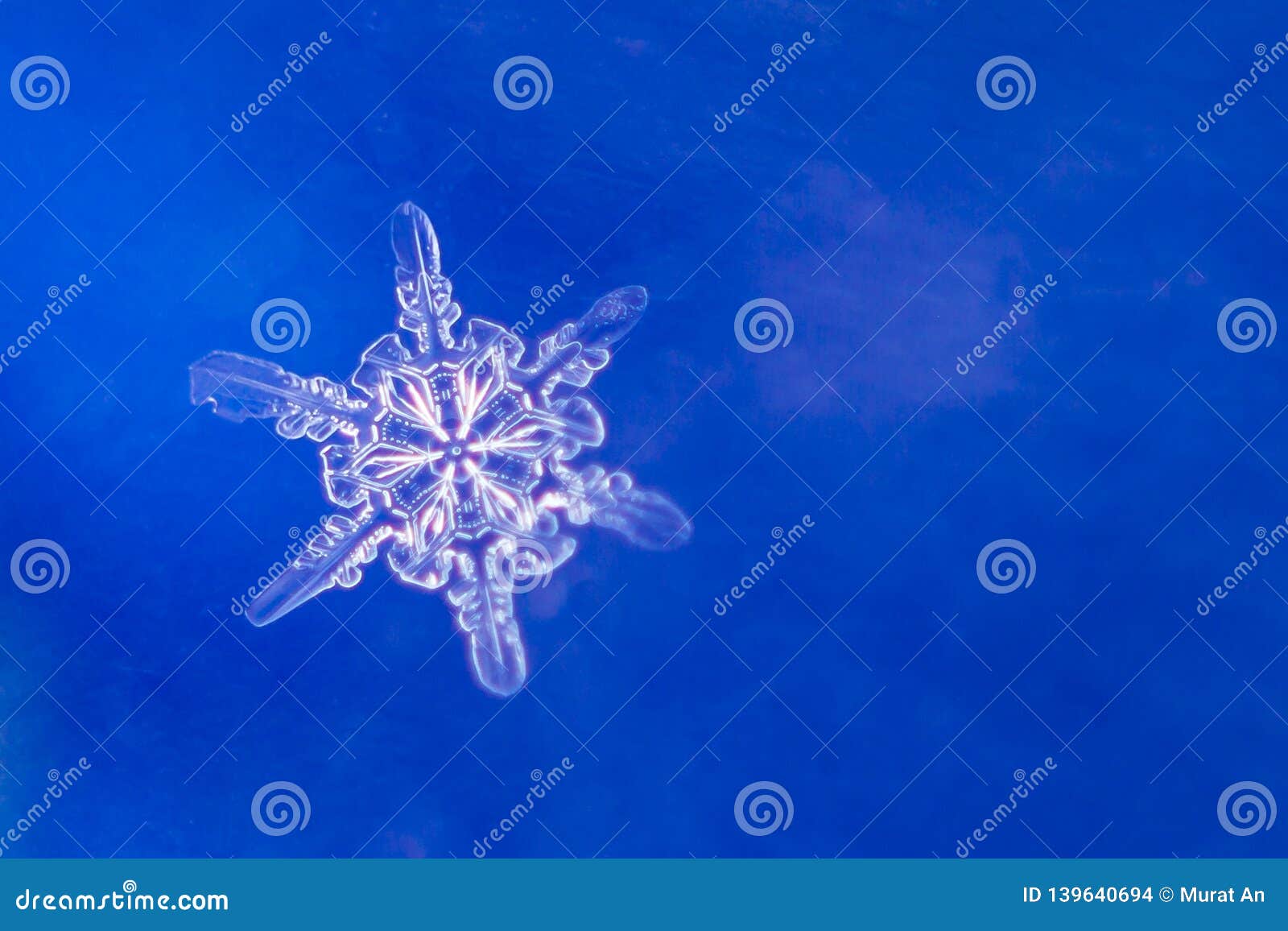 Single Snow Flake on Blue Background Stock Photo - Image of background ...