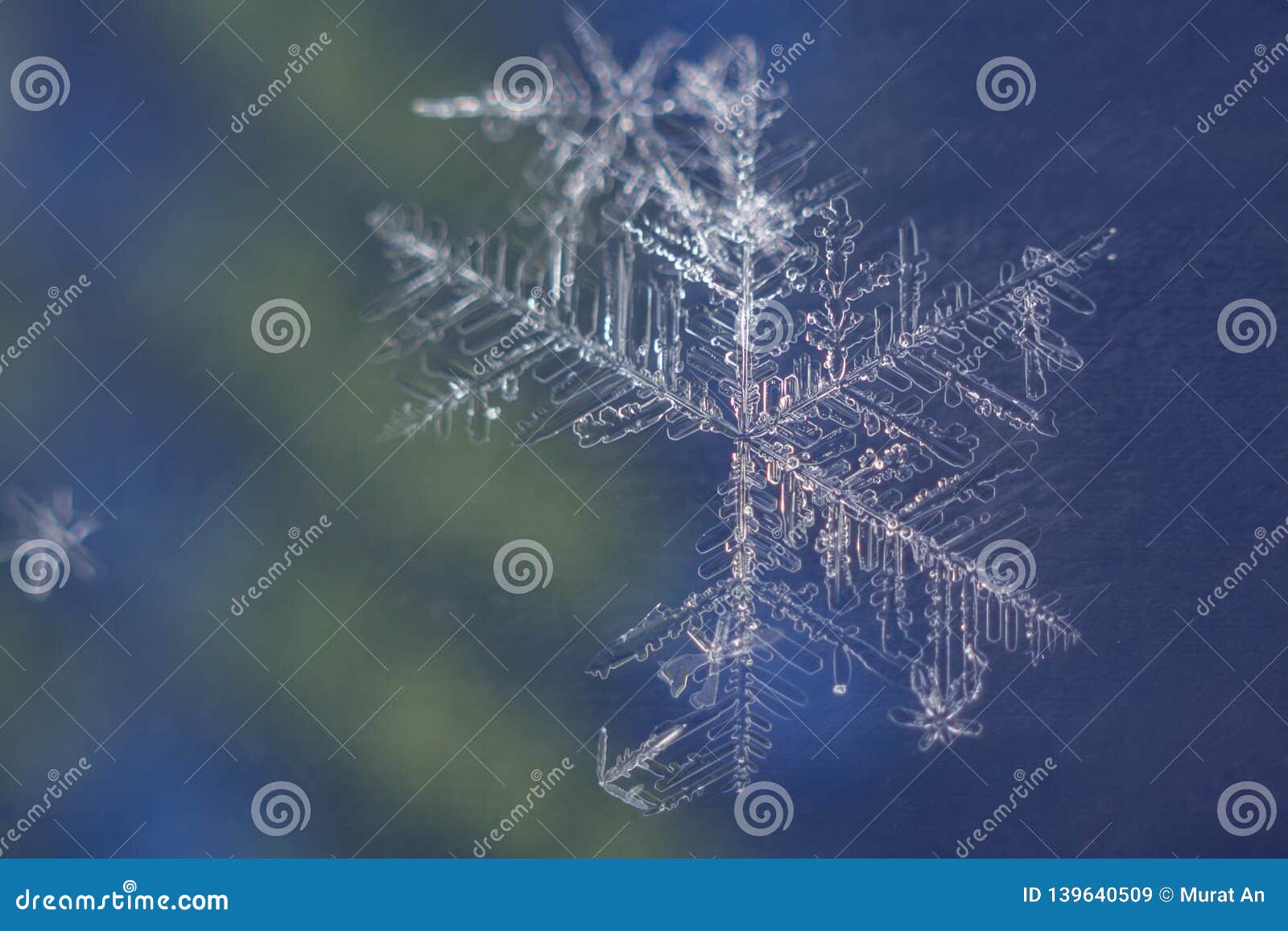 Single Snow Flake on Blue and Green Background Stock Image - Image of ...