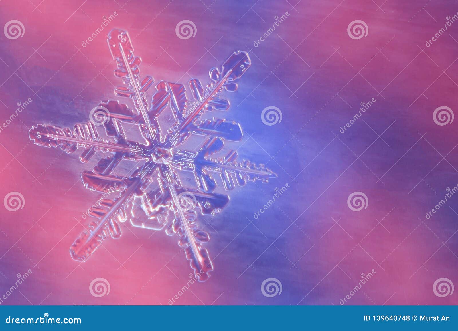 Single Snow Flake on Colorful Background Stock Photo - Image of ...