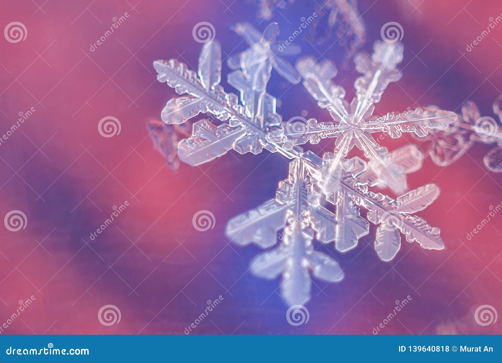 Single Snow Flake on Colorful Background Stock Photo - Image of nature ...