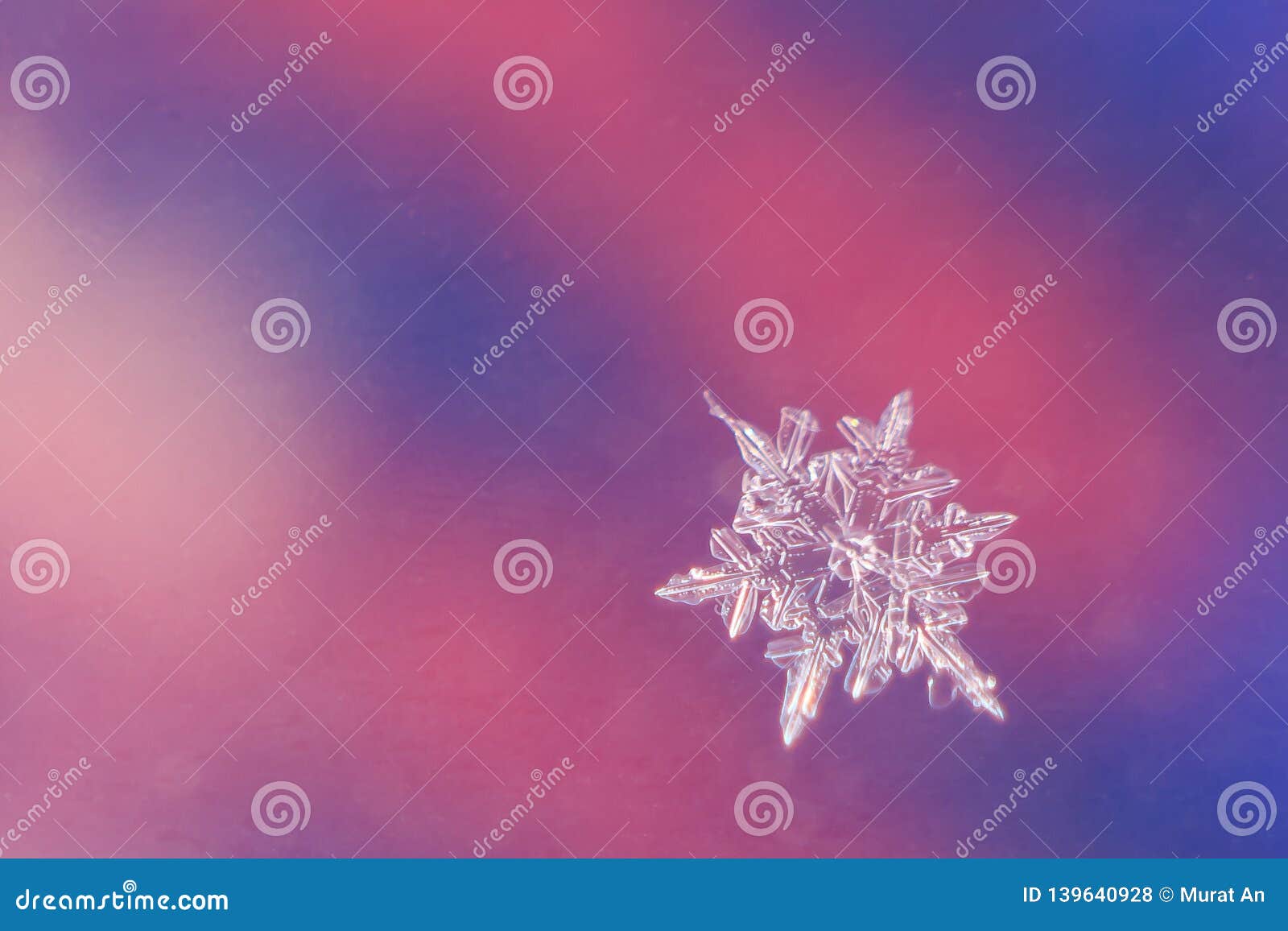 Single Snow Flake on Colorful Background Stock Photo - Image of ...