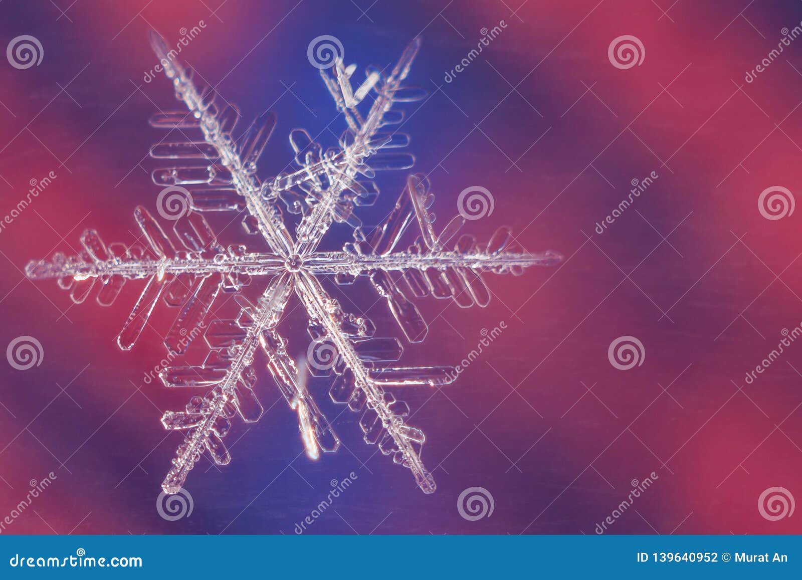 Single Snow Flake on Colorful Background Stock Photo - Image of natural ...