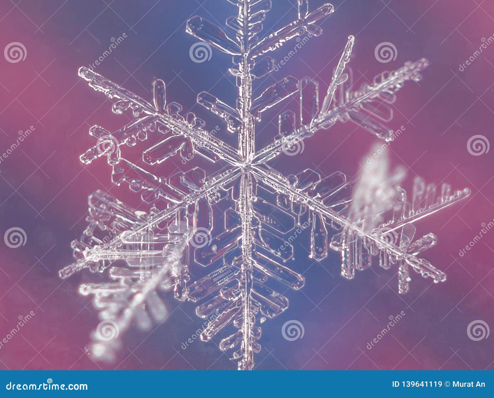 Single Snow Flake on Colorful Background Stock Image - Image of ...