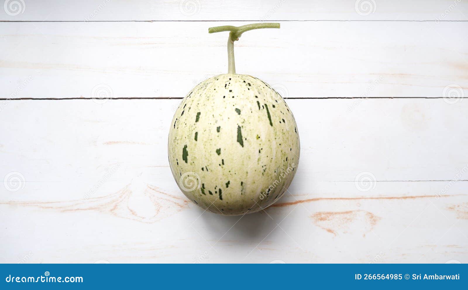 Single Snow Leopard Melon (dalmatian Melon) on a White Wooden Table ...
