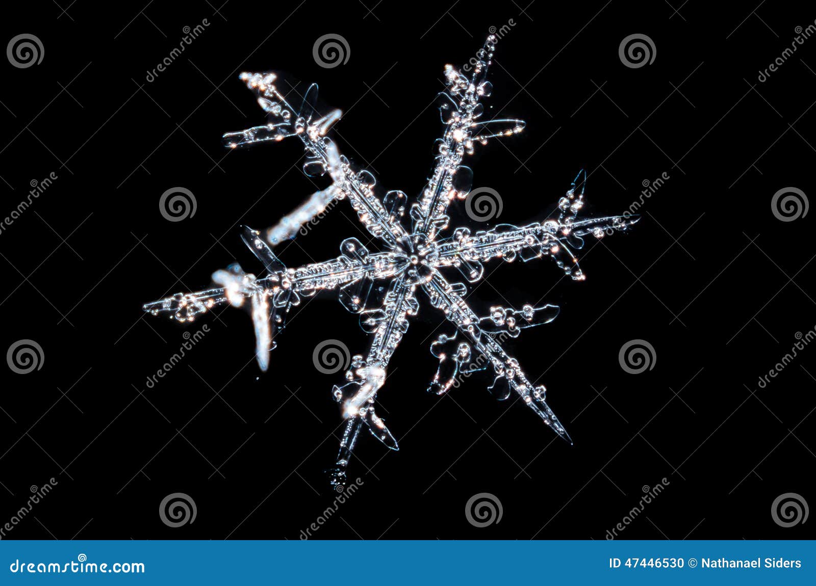 Single Snowflake stock photo. Image of pattern, storm - 47446530