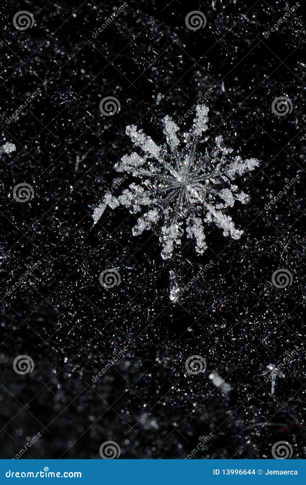 Single snowflake detail stock photo. Image of christmas - 13996644