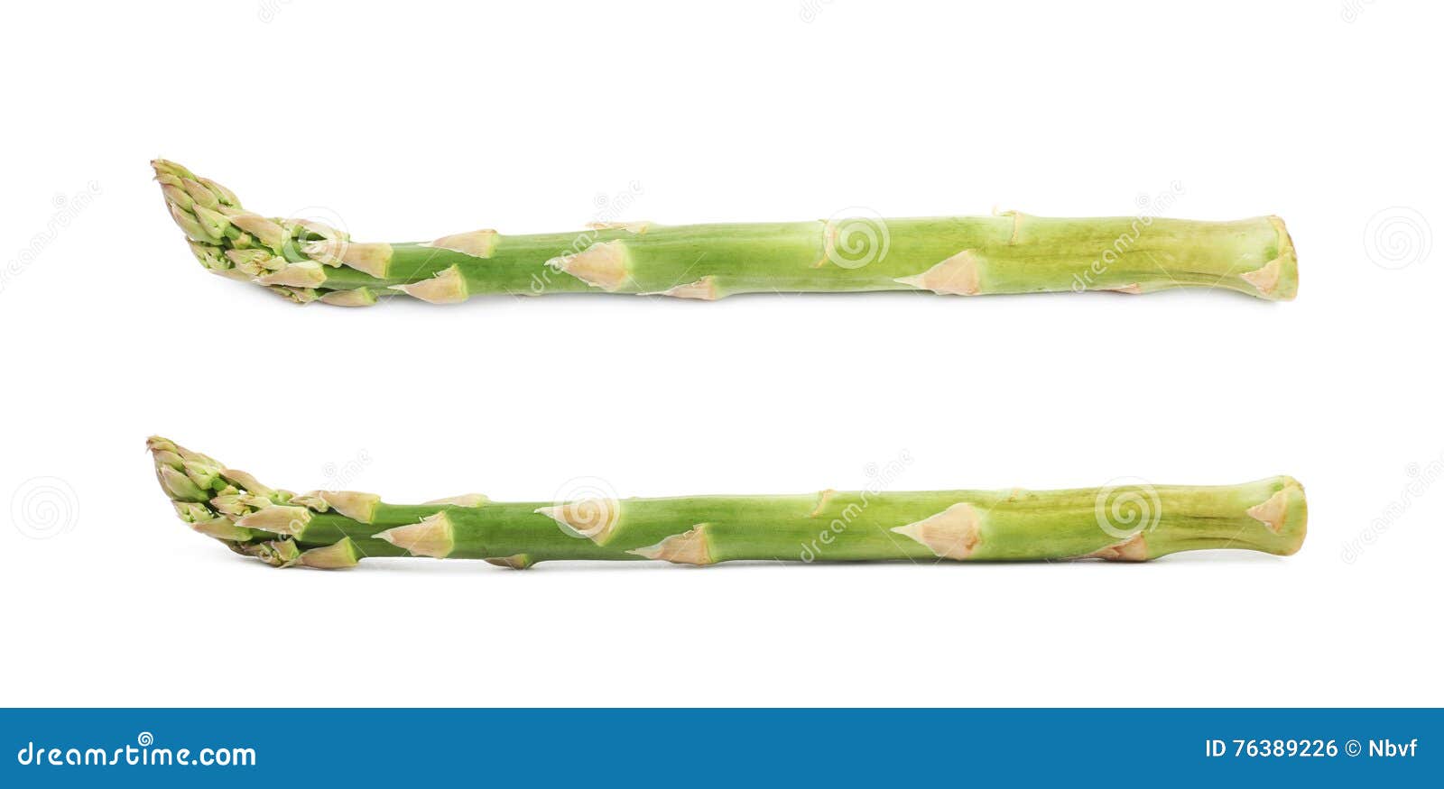 Single Spear of Asparagus Isolated Stock Photo - Image of nature ...