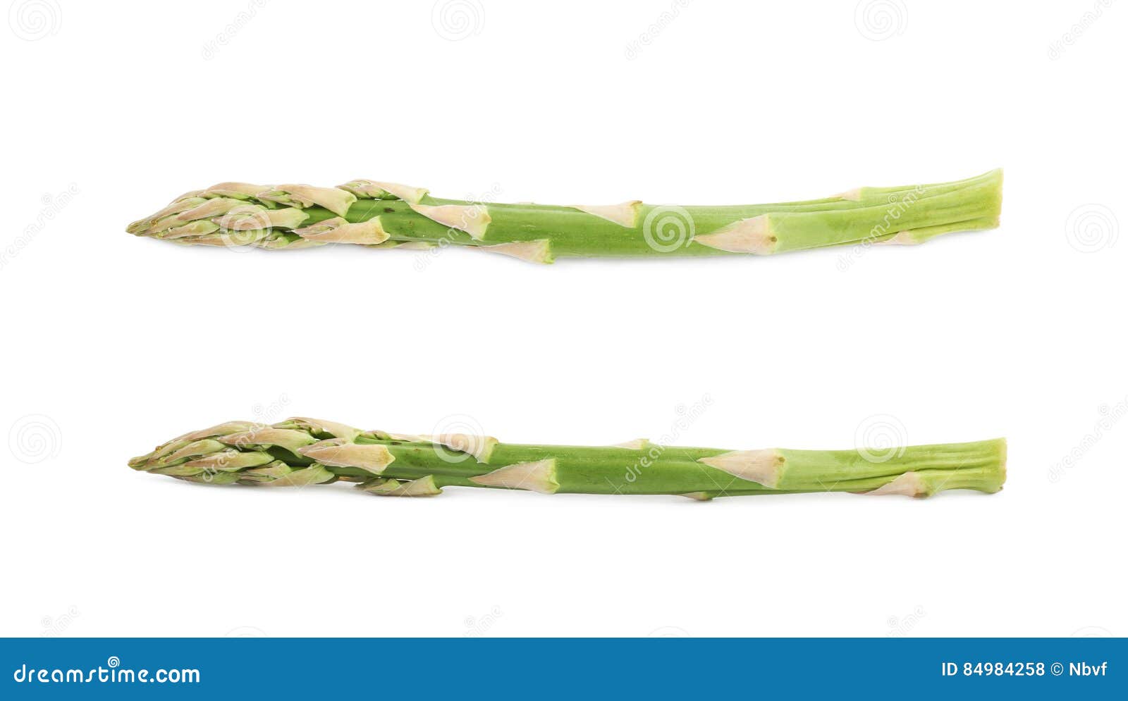 Single Spear of Asparagus Isolated Stock Photo - Image of isolate ...
