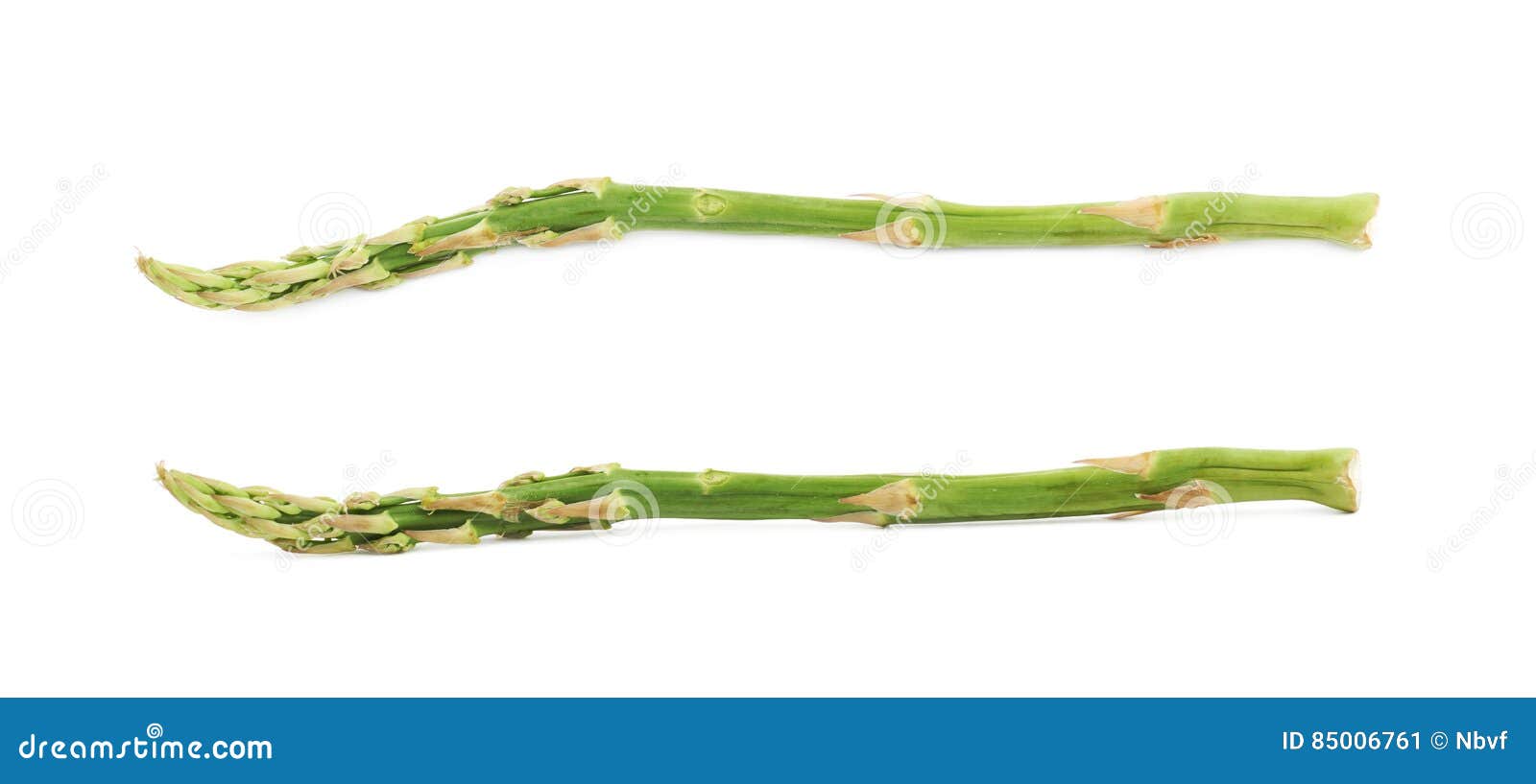 Single Spear of Asparagus Isolated Stock Image - Image of background ...