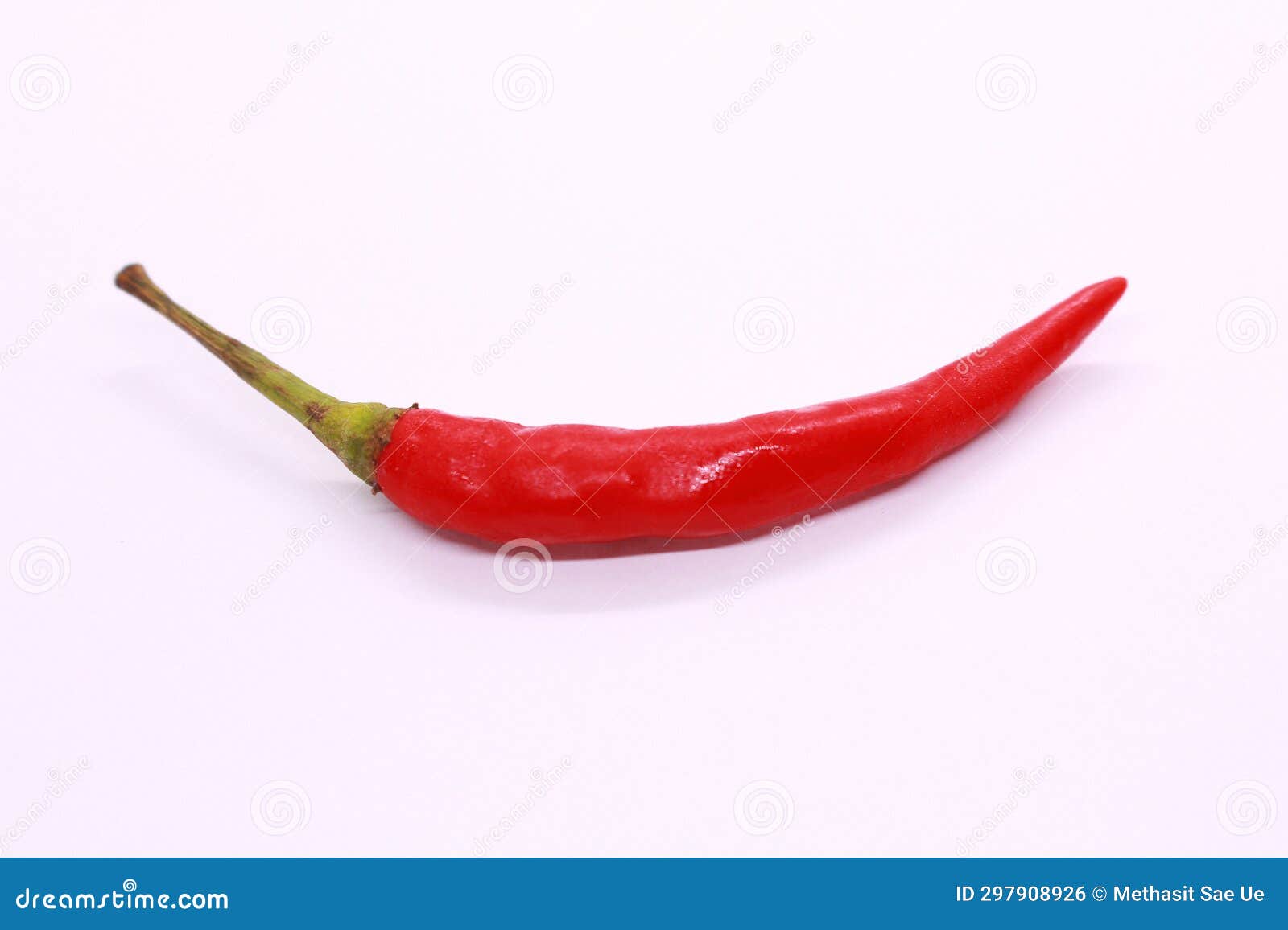 Single Spicy Red Chili Pepper Stock Photo - Image of spicy, chili ...
