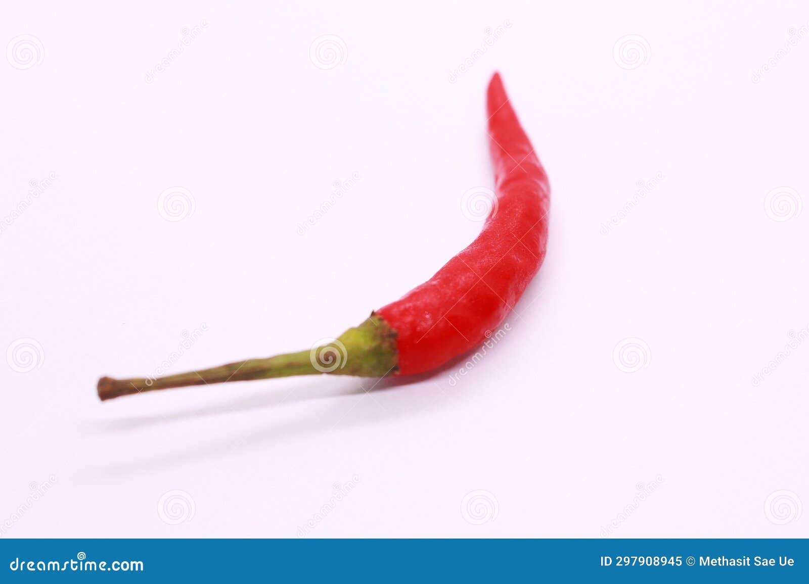 Single Spicy Red Chili Pepper Stock Image - Image of spicyred, food ...