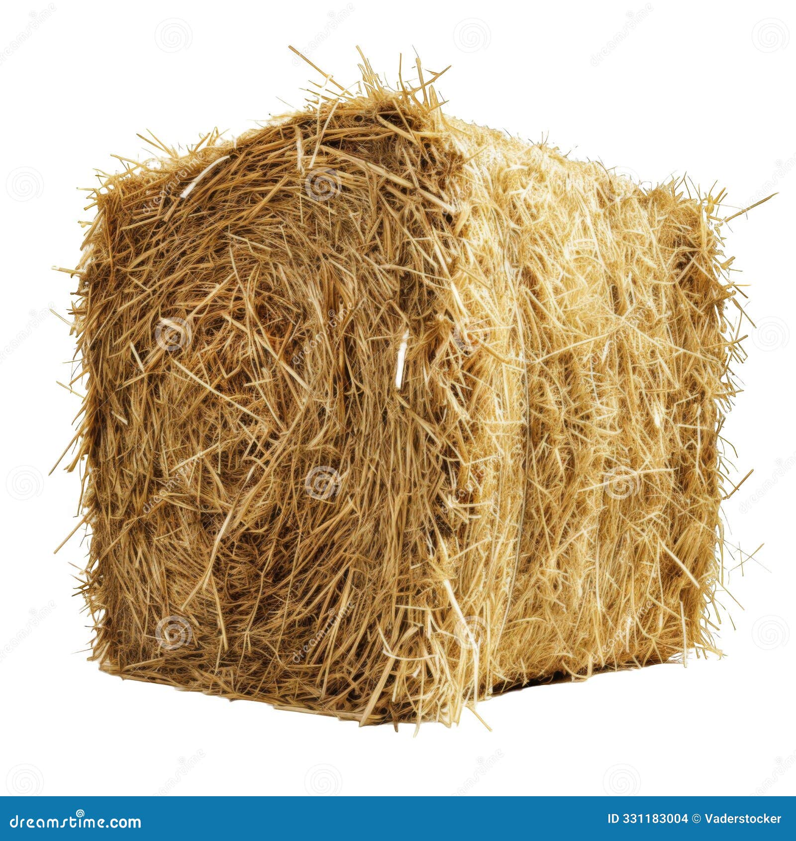 A Single Compost Bin Cleaning Service Flyer Styled With Subtle Royalty ...