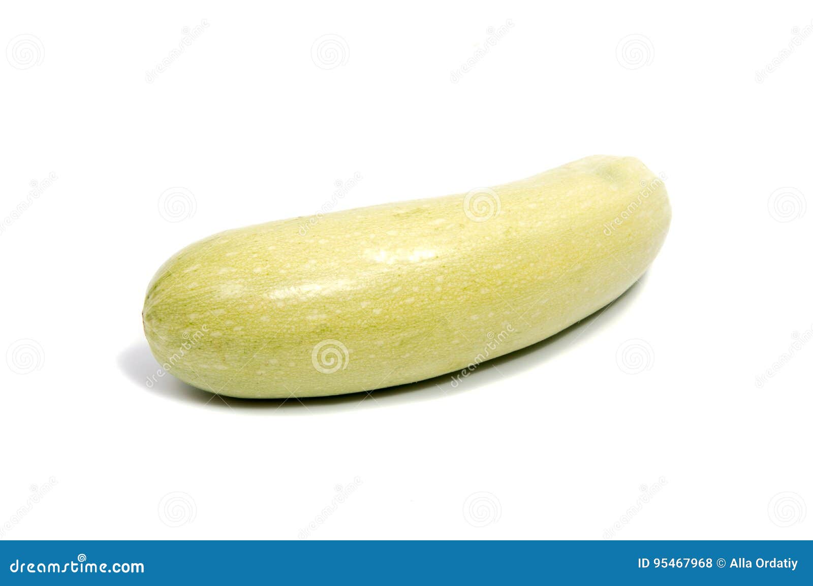 Single Squash Vegetable Marrow Zucchini Isolated Stock Photo - Image of ...