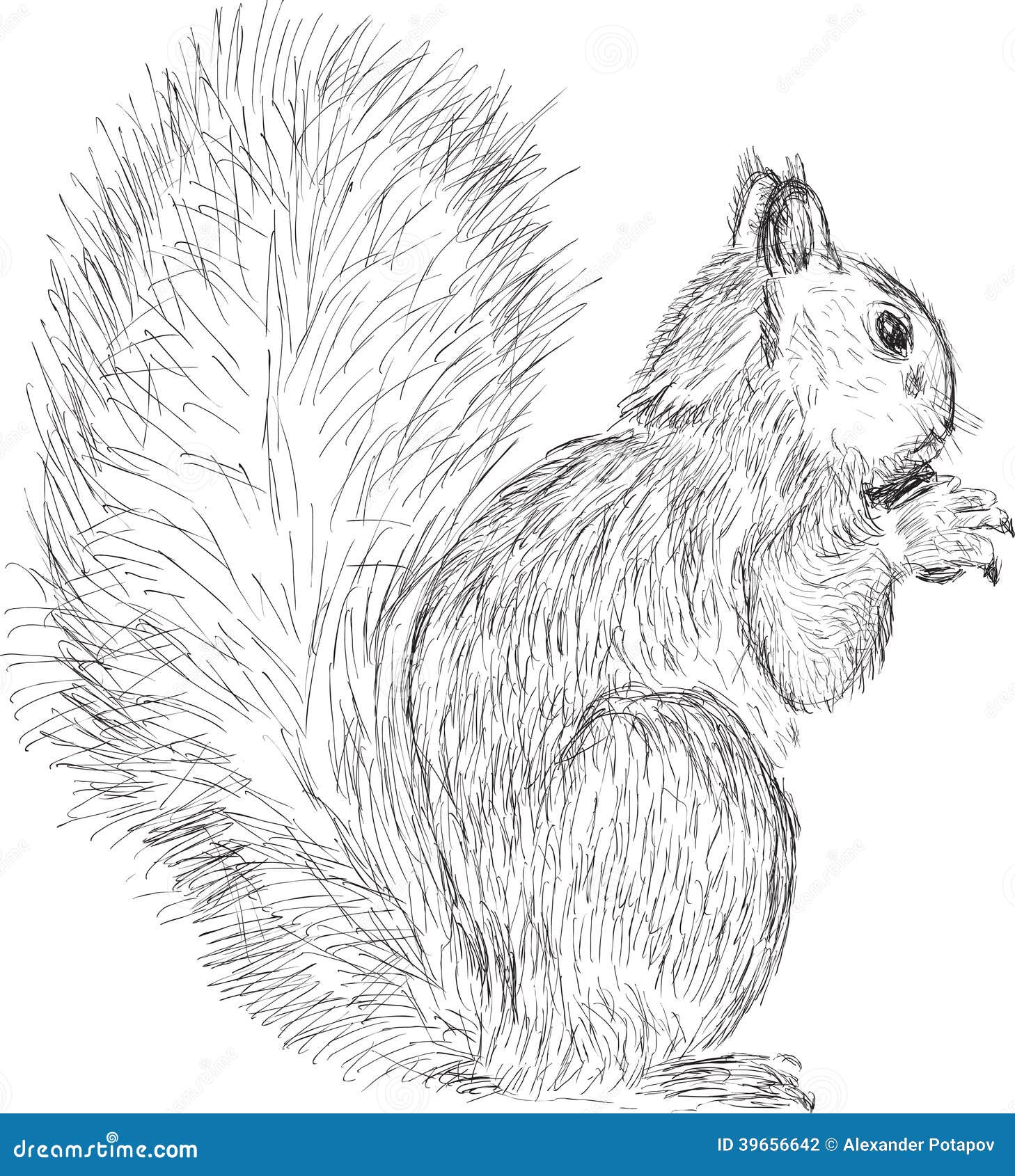 A Single One Squirrel Silhouette Outline Shape Set Against A Yellow ...