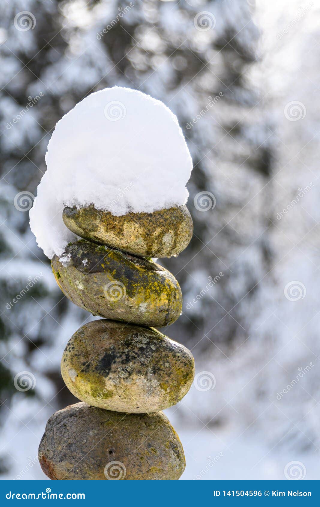 Single Stack of Snow Covered Round Rocks in a Peaceful Snowy Zen Garden ...