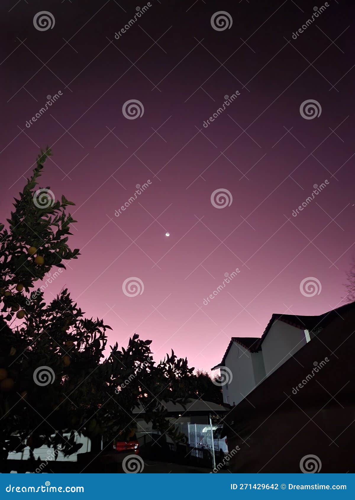 Single Star in the Purple Sky Stock Photo - Image of single, night ...