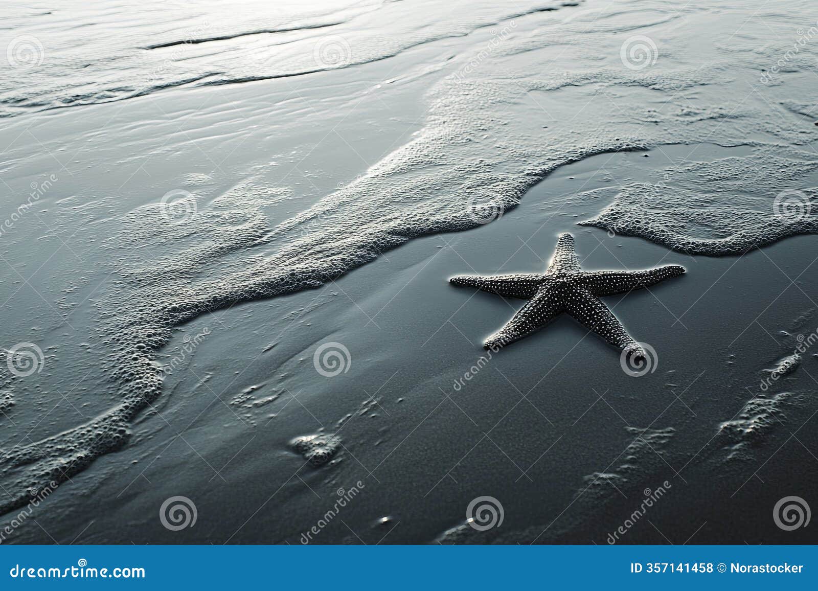 A Single Starfish Placed on a Smooth Wet Sand Surface with Faint Wave ...