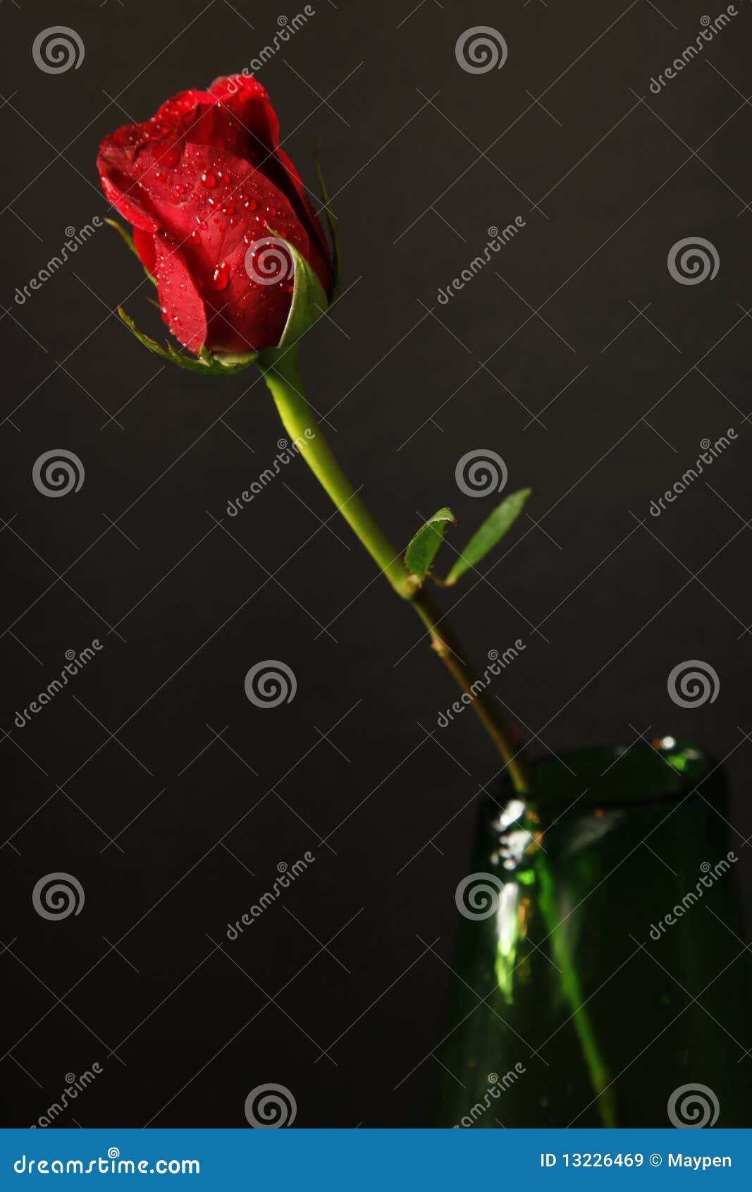 A Single Stemmed Red Rose in a Green Vase Stock Image - Image of ...