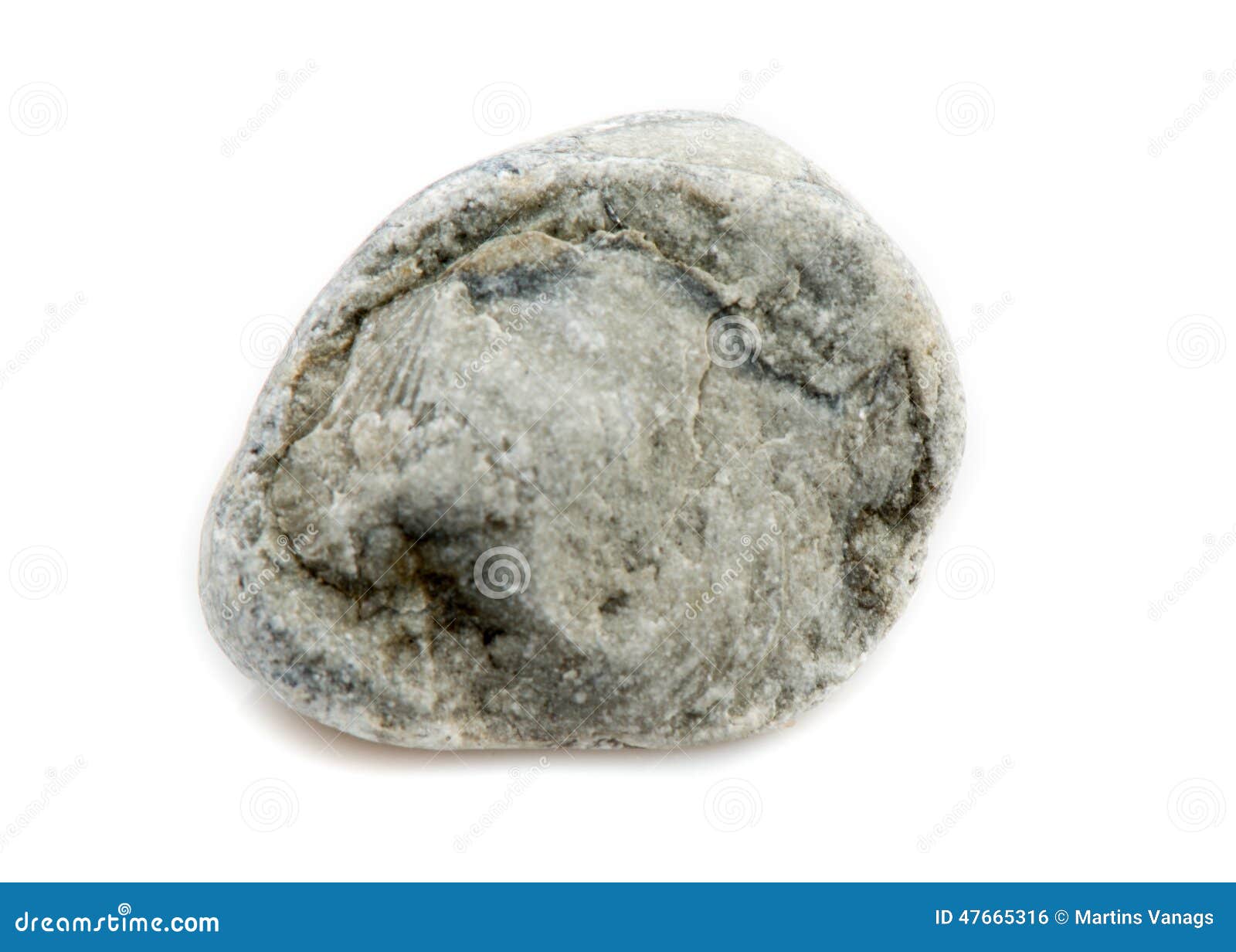Single Stone Isolated on White Background Stock Photo - Image of ...
