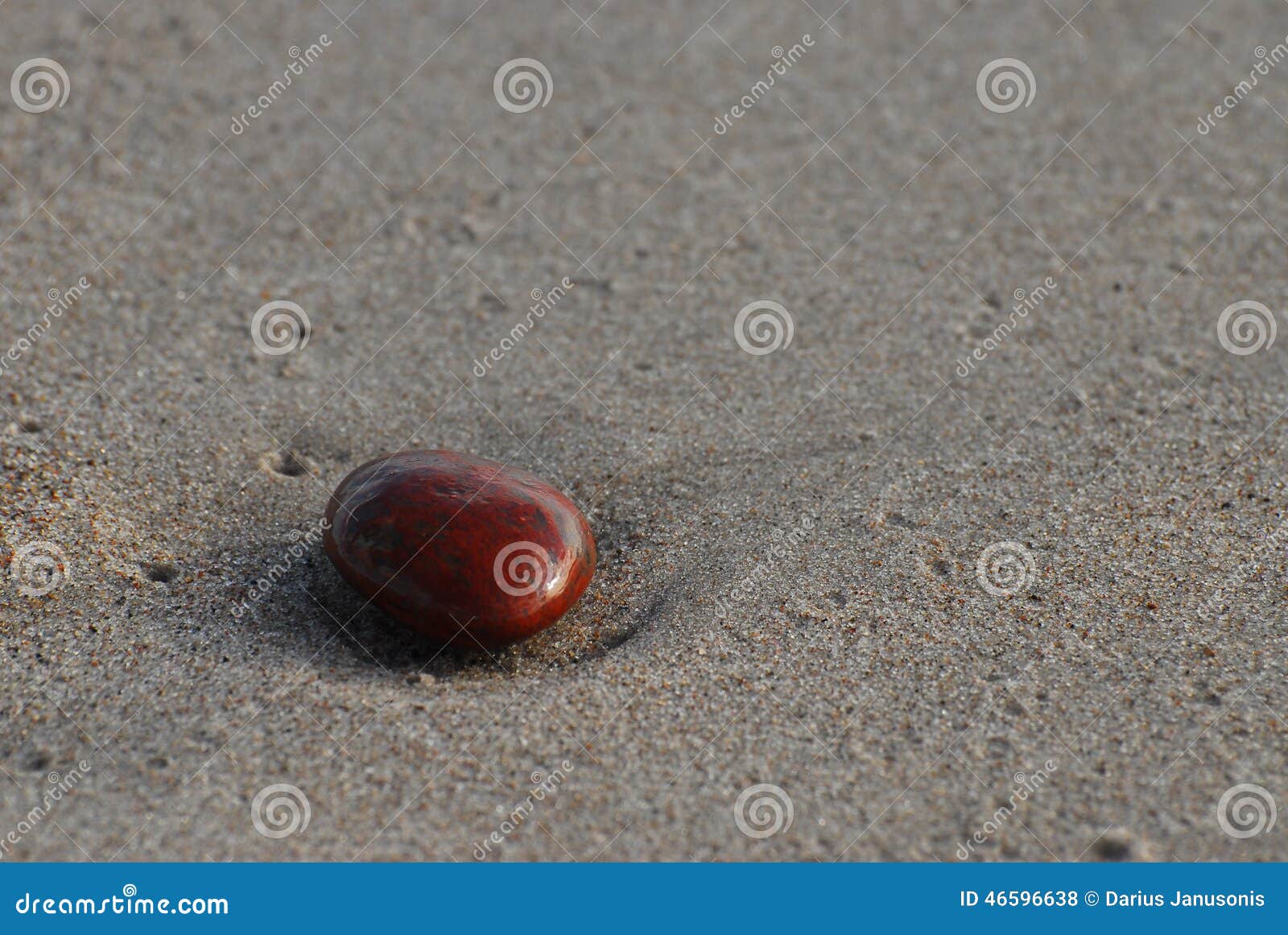 Single stone stock photo. Image of beauty, nature, summer - 46596638