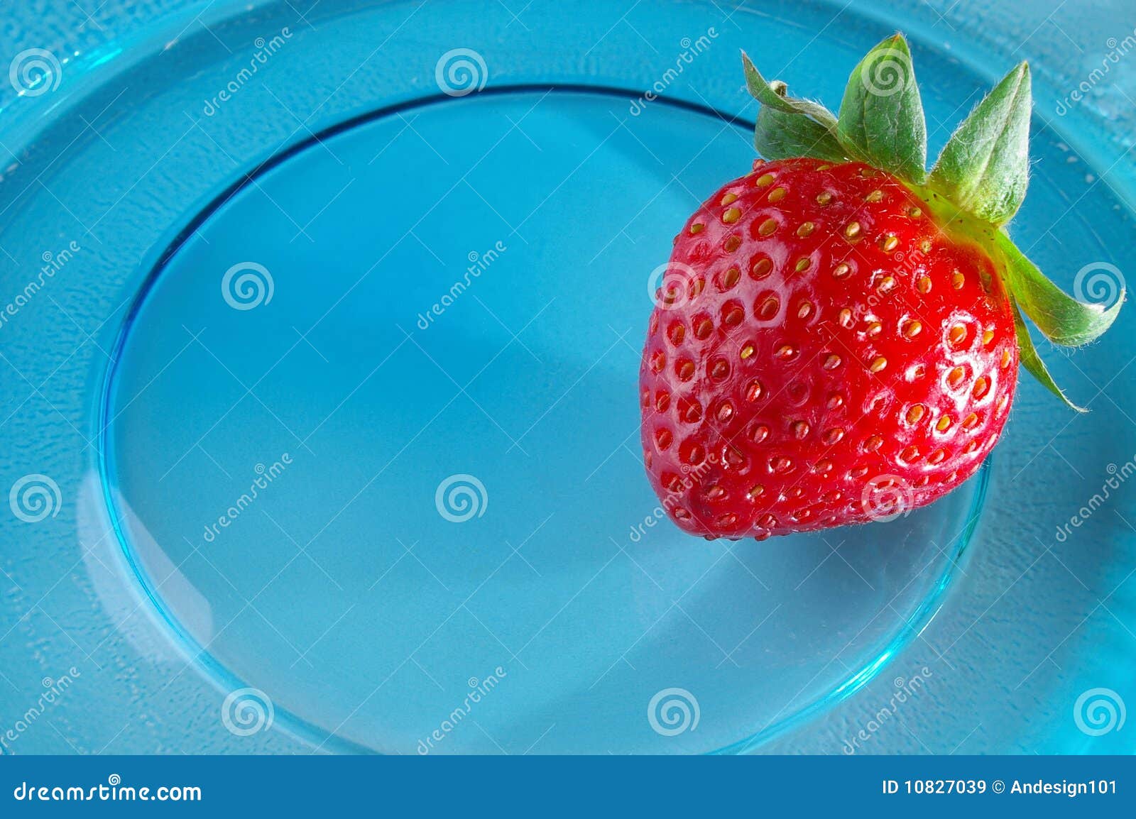 Single strawberry stock image. Image of ingredient, fresh - 10827039
