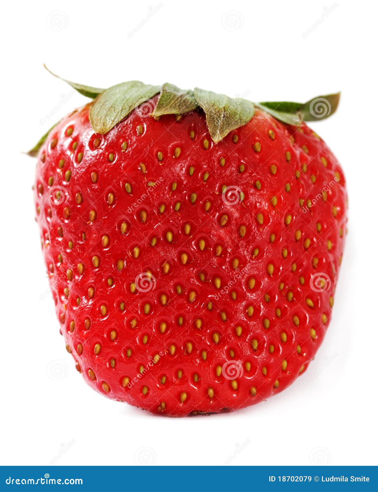 Single strawberry. stock image. Image of green, food - 18702079