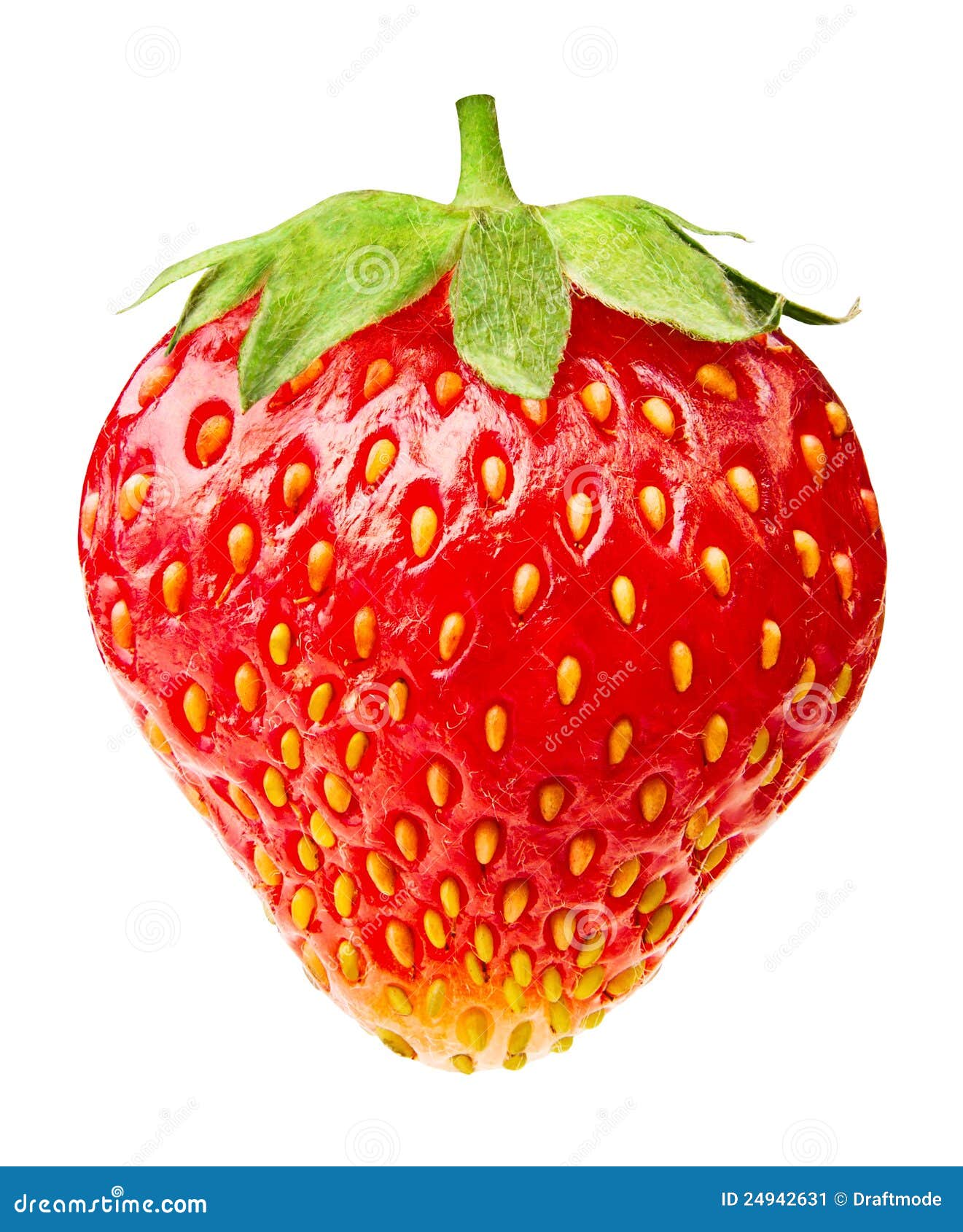 Single strawberry stock image. Image of organic, juicy - 24942631