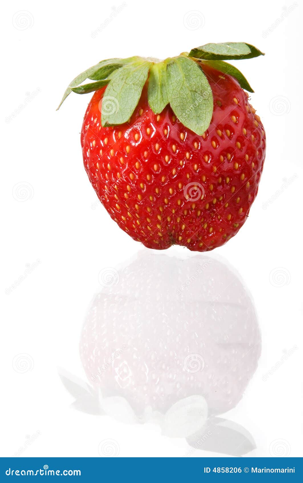 Single strawberry stock photo. Image of dessert, lonely - 4858206