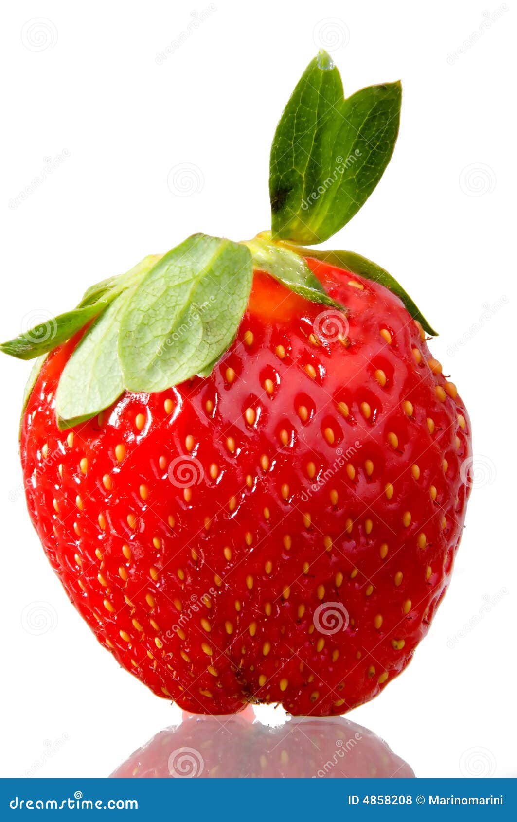 Single strawberry stock photo. Image of joyful, nutrition - 4858208