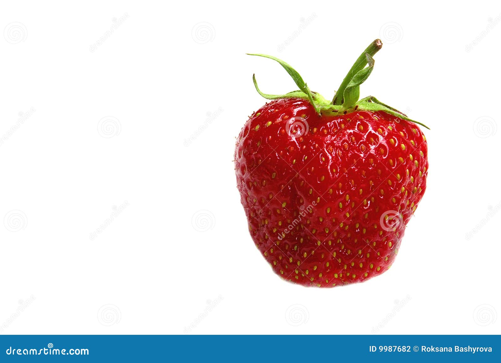 Single Strawberry Dropped In Water Tank Stock Photo | CartoonDealer.com ...