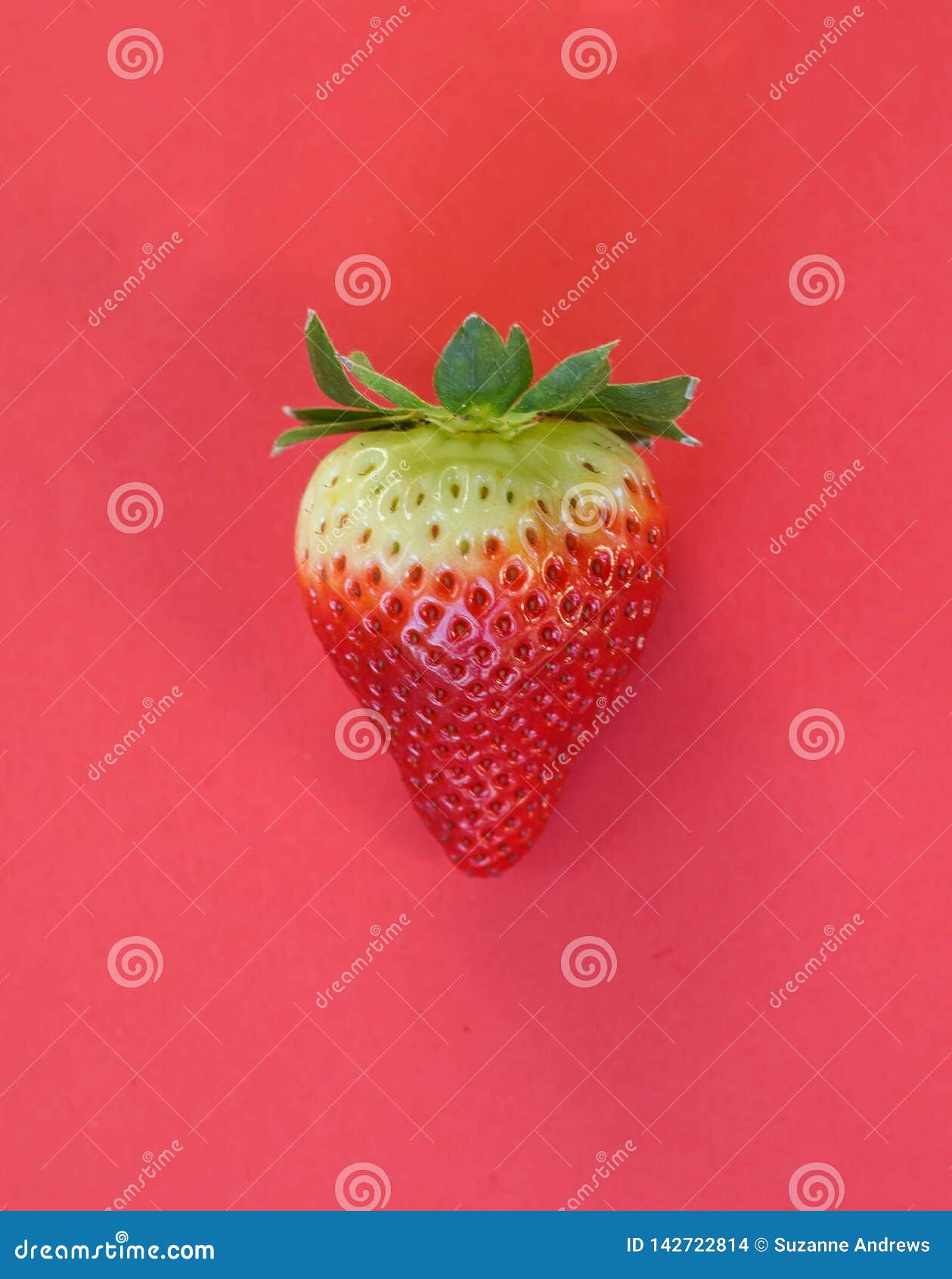 Single Strawberry on Red Background Stock Photo - Image of berry ...