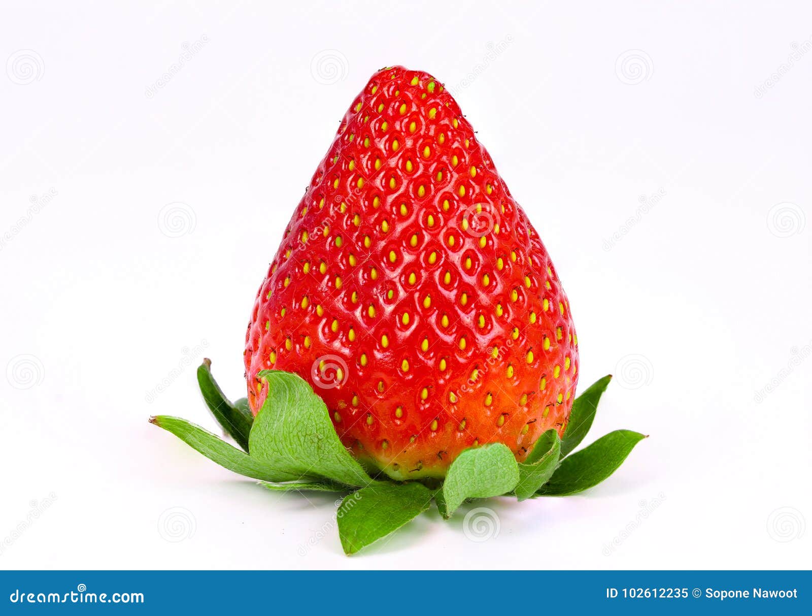 A single strawberry stock image. Image of shiny, diet - 102612235