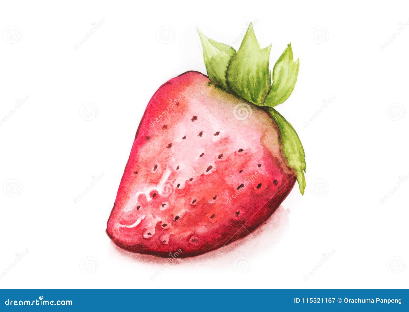 Single Strawberry stock illustration. Illustration of background ...