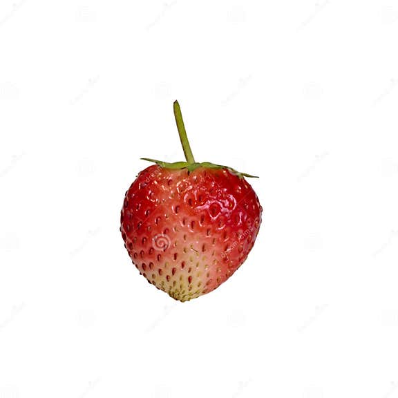 Single Strawberry on White Background with Clipping Path Stock Photo ...
