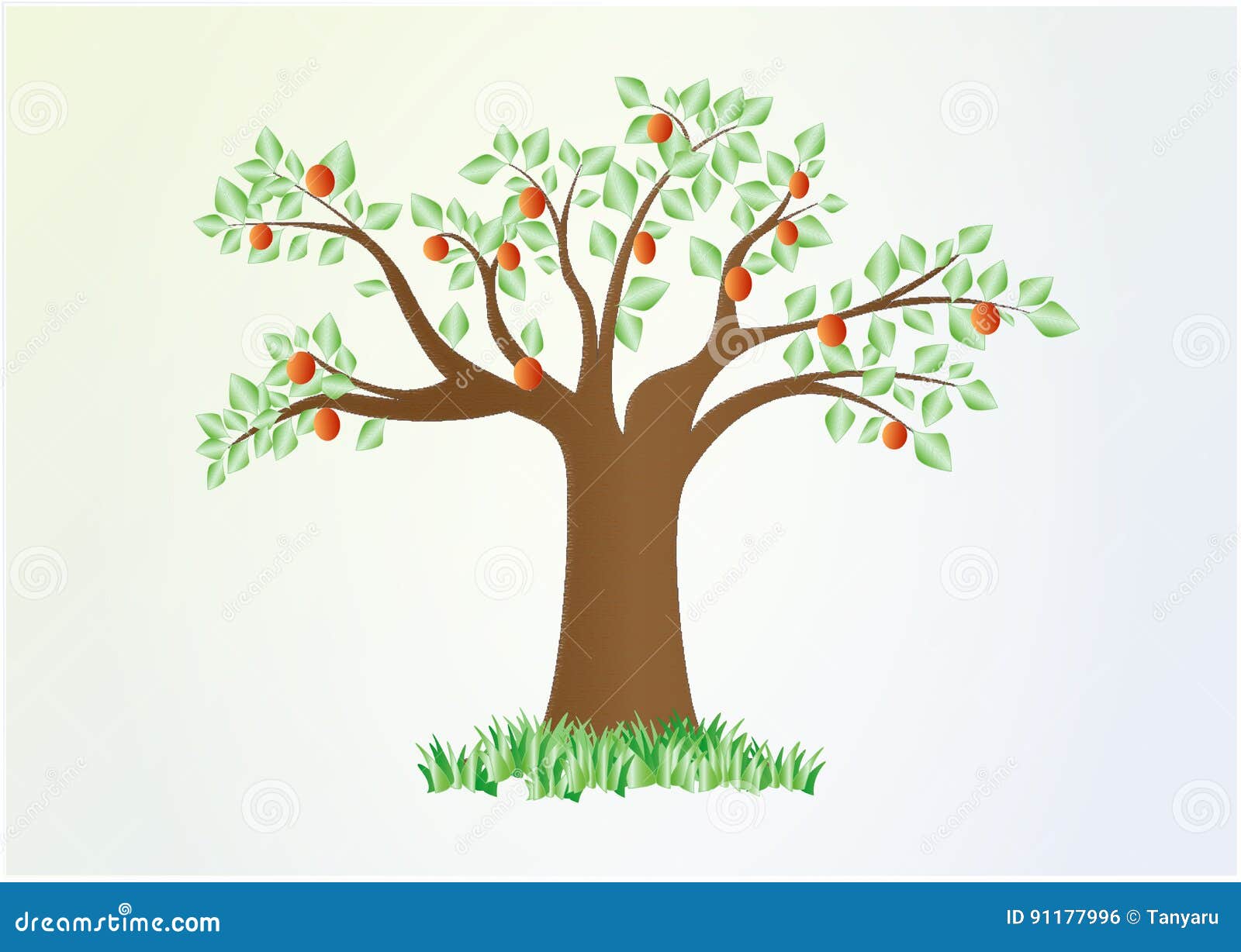 Single Summer Tree with Green Leaves and Red Fruit, Vector, Horizontal ...