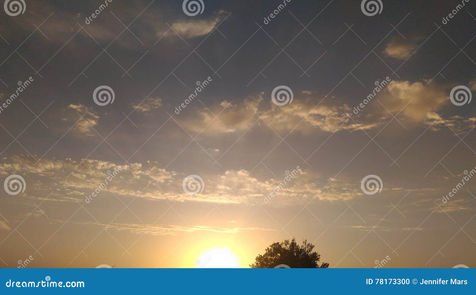 Single sun stock photo. Image of single, tree, random - 78173300