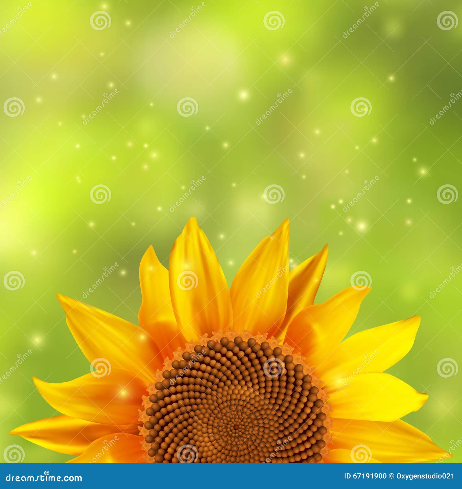 Single Sunflower Simple Vector Line Illustration. One Line Art Drawing ...